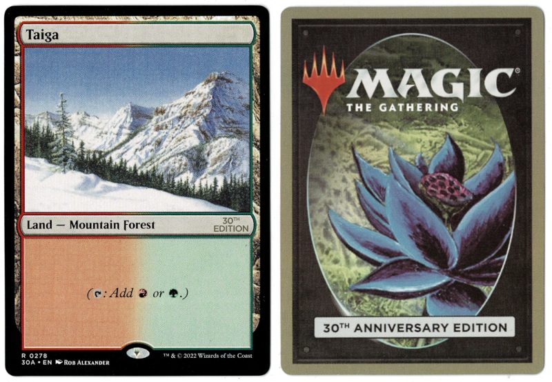 Taiga Magic the Gathering Proxy
